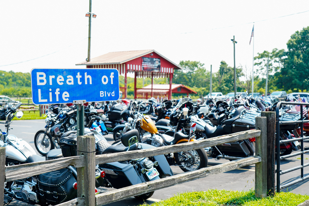 Insulators International | News & Resources